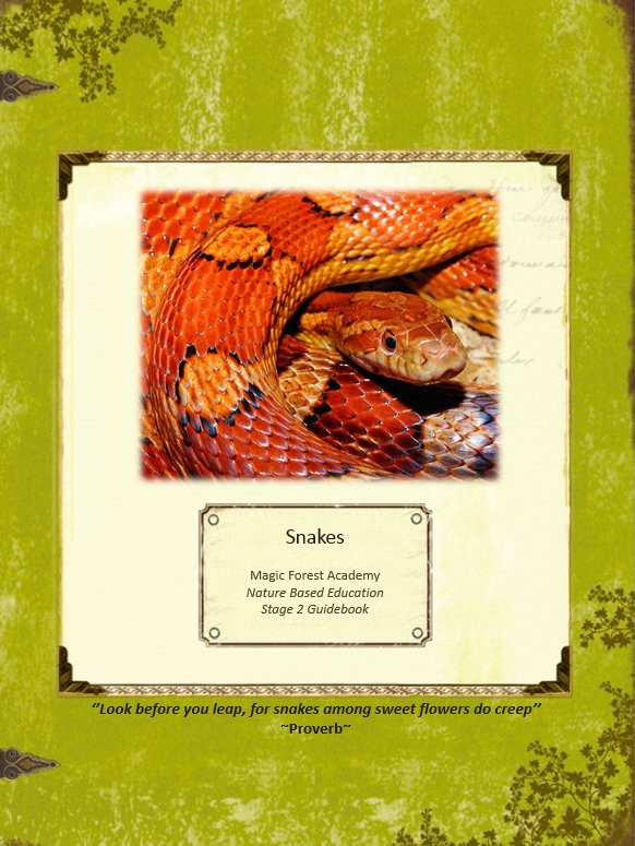 Magic Forest Academy - Snakes eBook - SEA Books & More