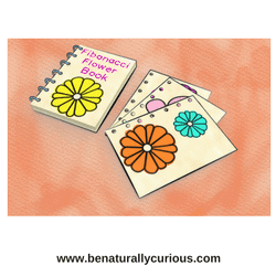 Numbers in Nature: Playing with the Fibonacci Sequence