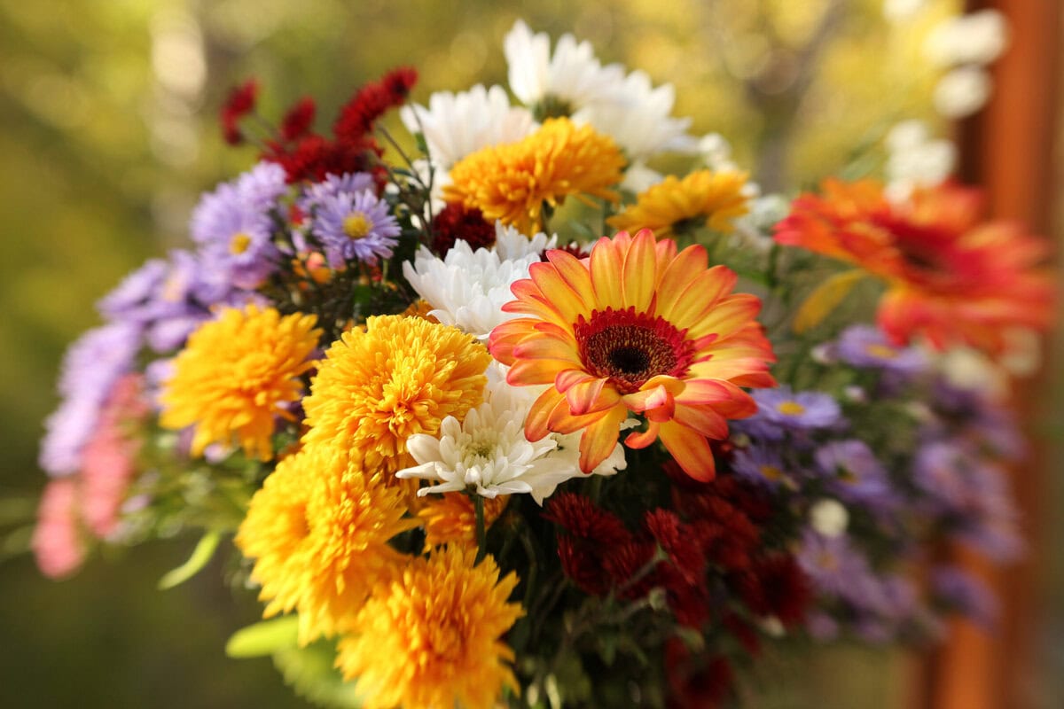 Flowers Have Differences - SEA Homeschoolers