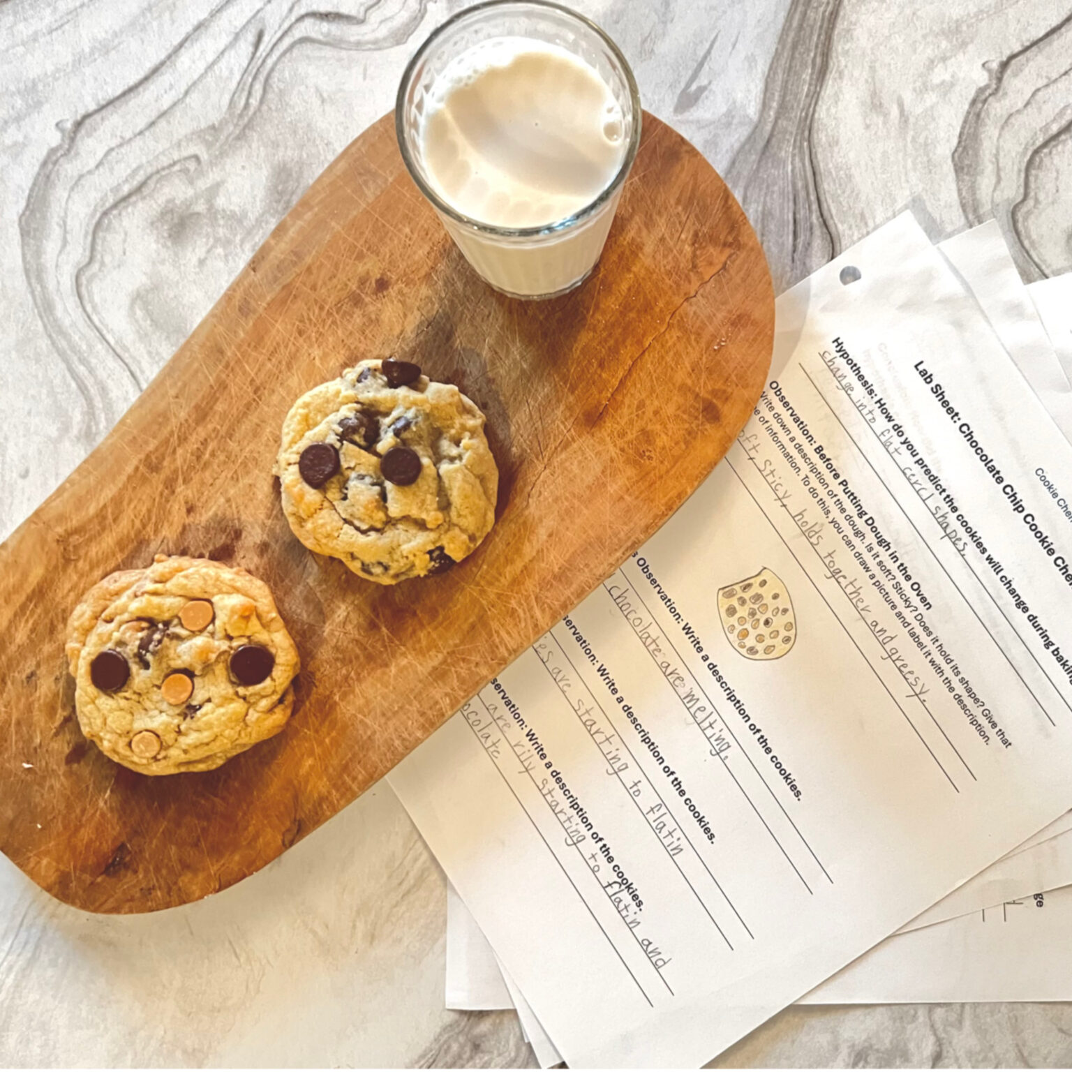 Homeschool Science Activity: Chocolate Chip Cookie Chemistry - SEA ...