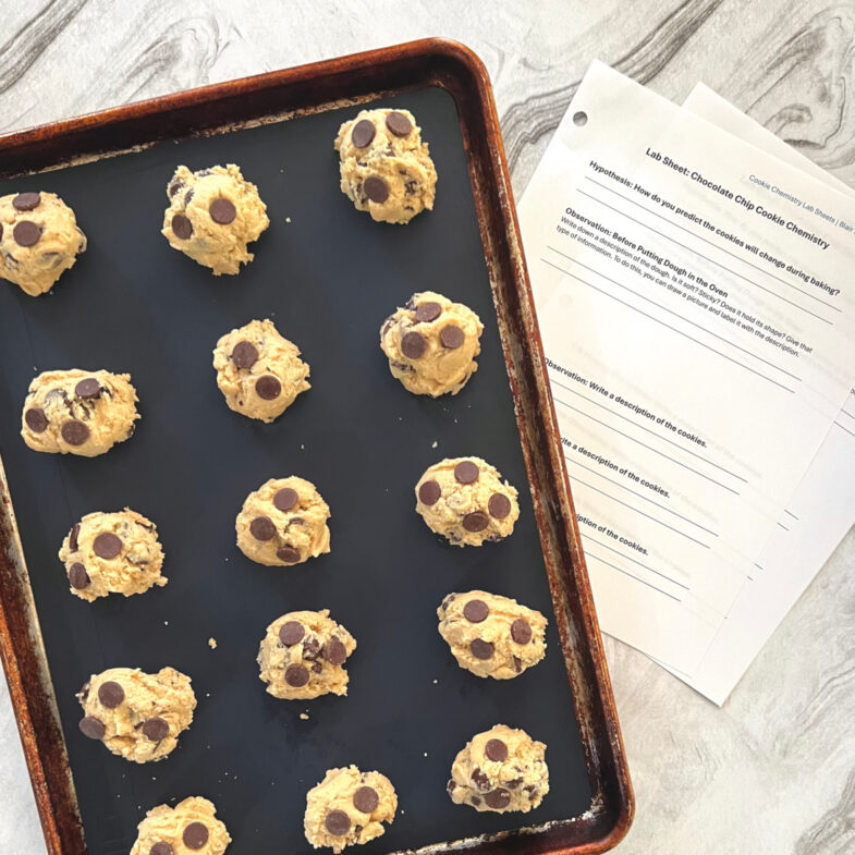 Homeschool Science Activity: Chocolate Chip Cookie Chemistry - SEA ...