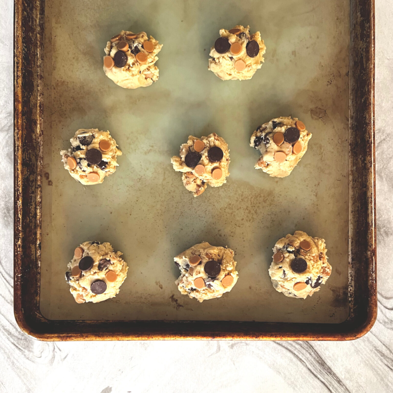 Homeschool Science Activity: Chocolate Chip Cookie Chemistry - SEA ...